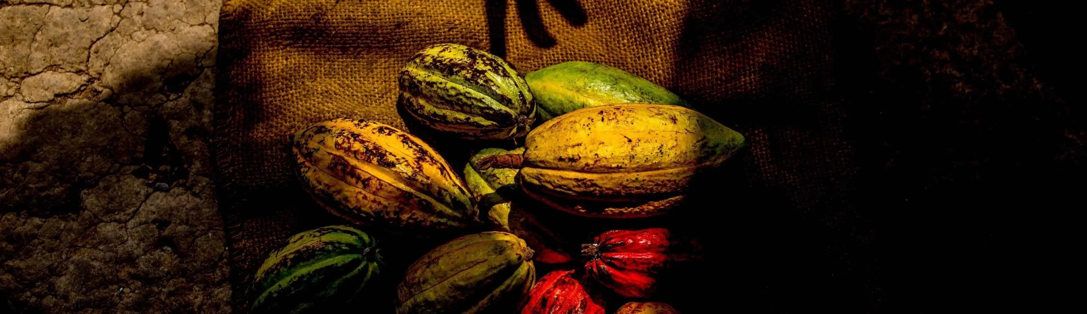 Chocolate – Marou Chocolate Singapore