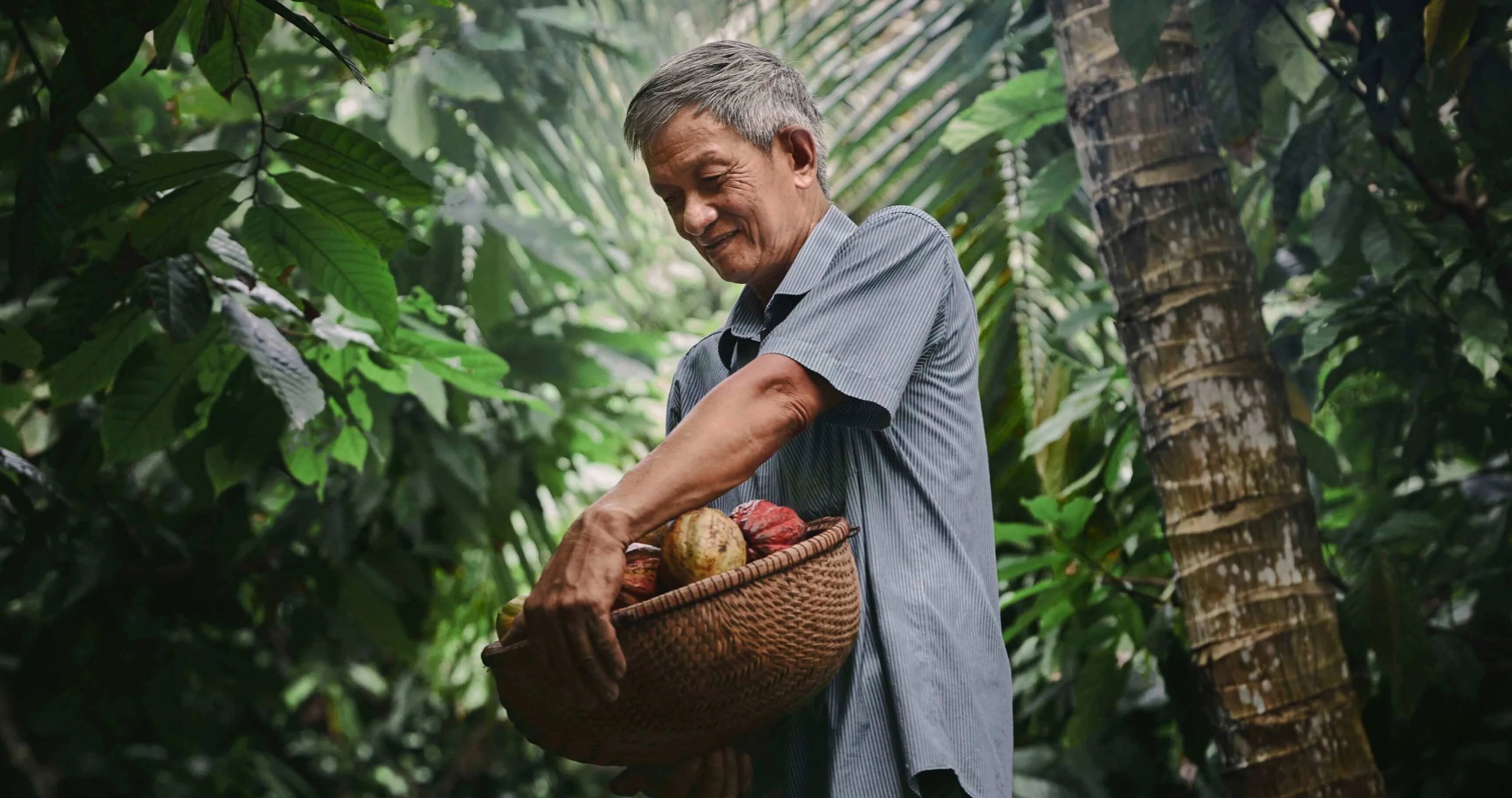 Marou Chocolate | The Vietnam's Finest Artisan Chocolate – Marou ...